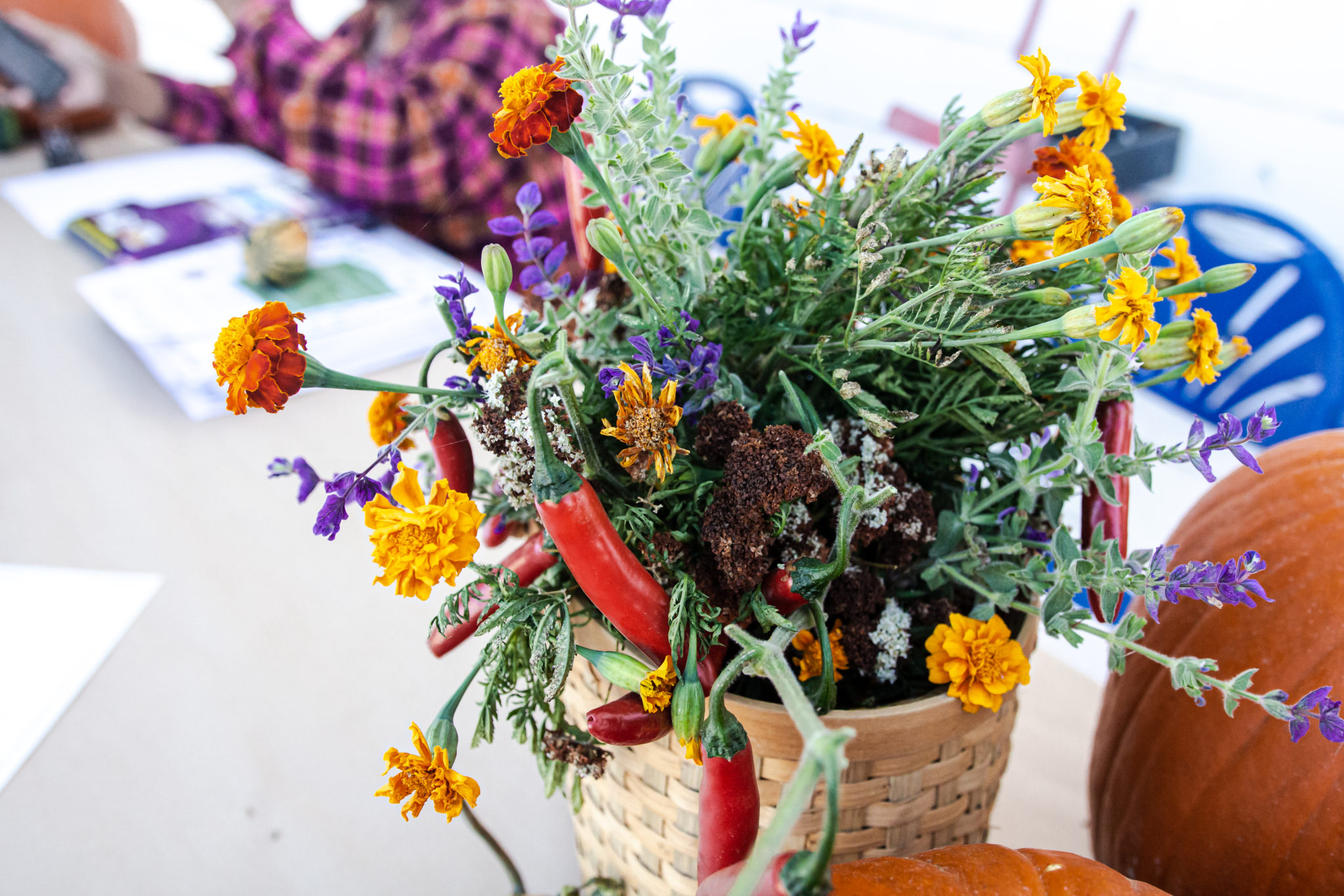 Recap: Yolo Food Hub Network's Barn Warming & Celebration in Esparto ...